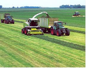 Биоконсервант Sila-Prime для силосования силоса, одна банка на 50 тонн ...