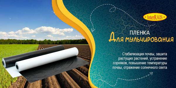 Пленка для мульчирования купить в Киеве на PromPortal.Su (ID#7033903)