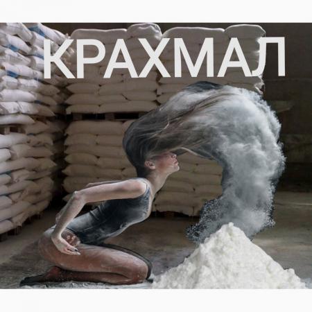 Крахмал модифицированный Pregeflo PJ20 E1414 Roquette Франция купить по ...