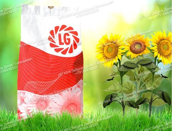 Гибриды семена подсолнечника ЛГ 50521 (Лимагрейн, Limagrain ...