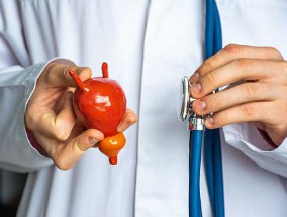 Prostaktiv - капсулы от простатита купить по цене 4549,01 ₽ в Минске на ...