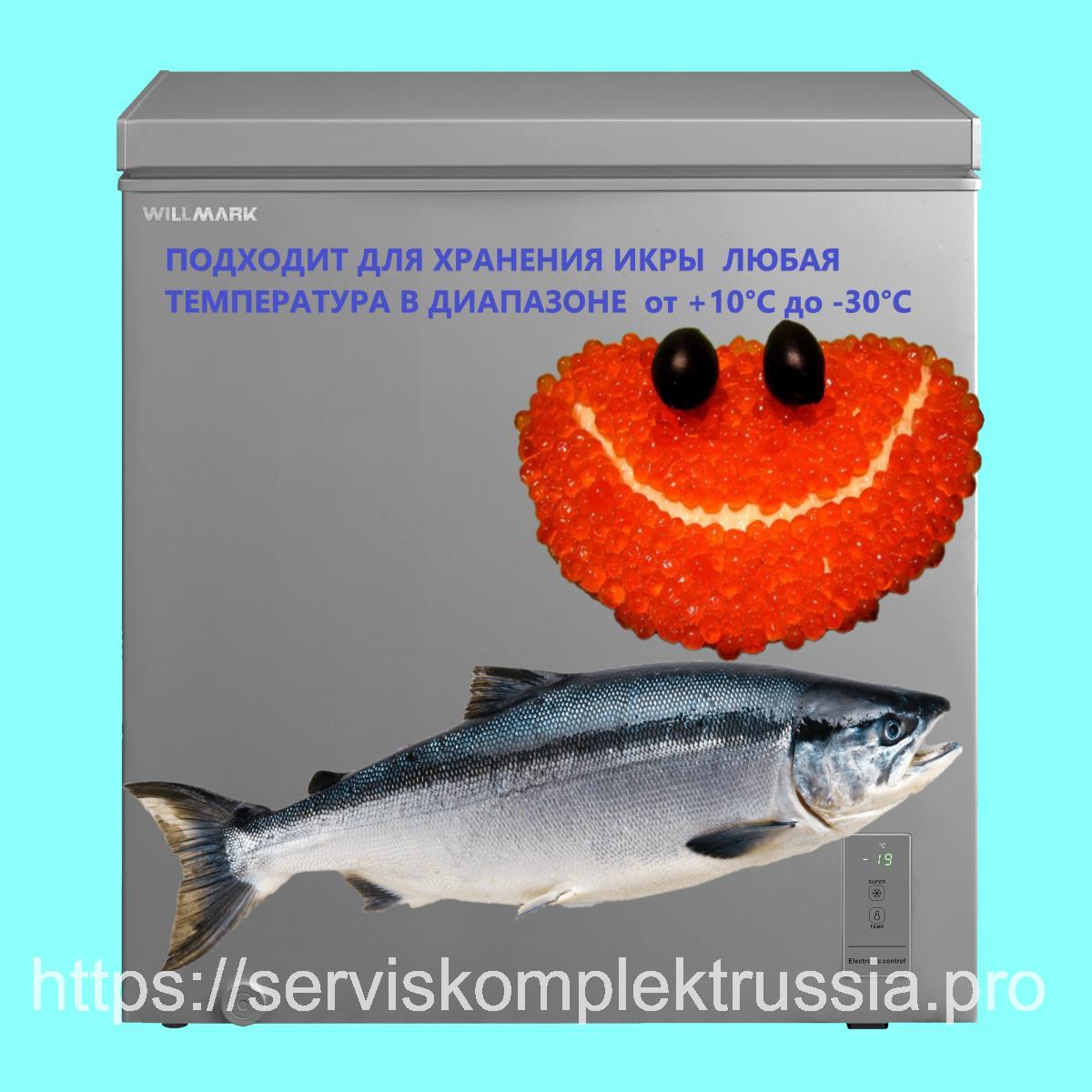 Морозильный ларь WILLMARK CF-390IDG (INVERTER. 310 л. , +10/-30°C, цифр. дисп, 3корз, гар. компр ...